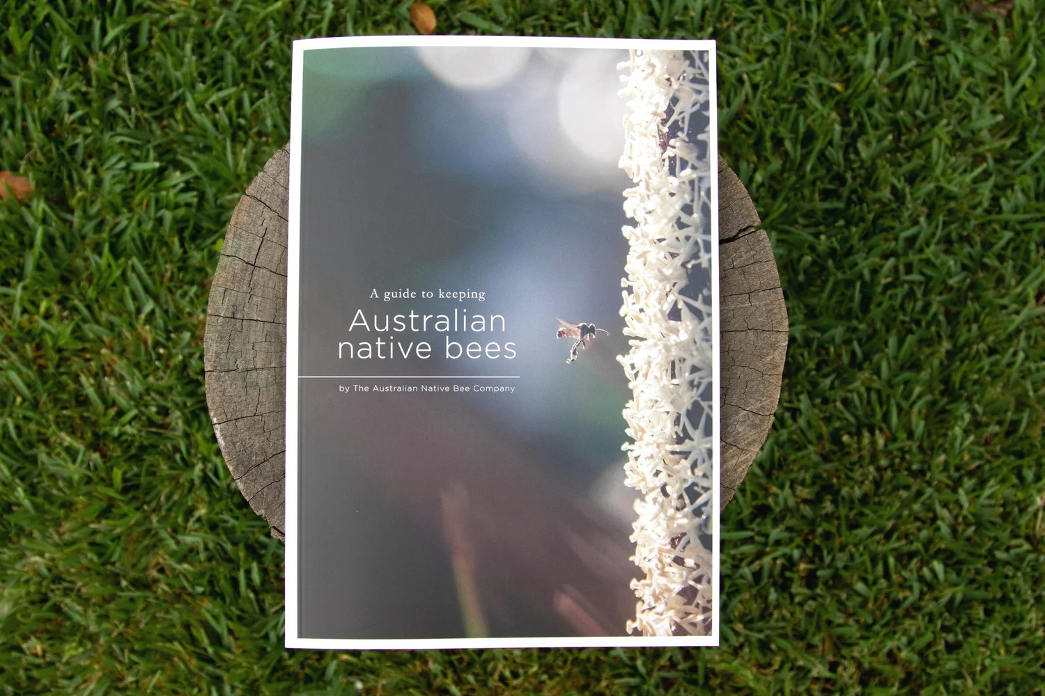 Native bee keeping products and services — The Australian Native Bee Co