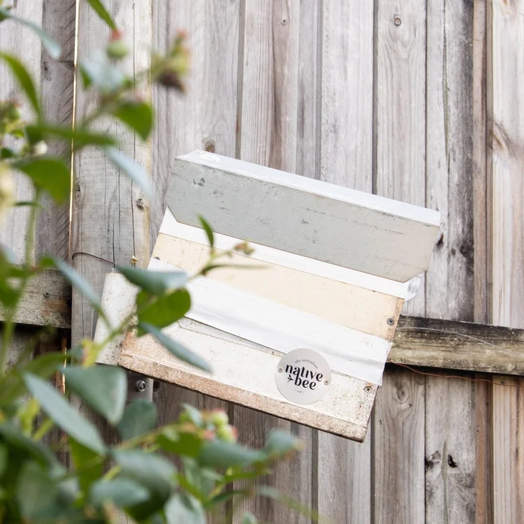 Native bee keeping products and services — The Australian Native Bee Co