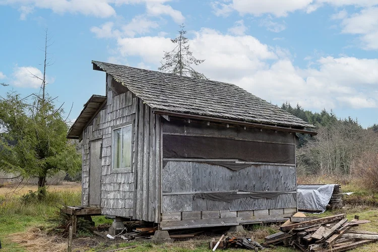 Rick Bartow Art Studio — Yakona Nature Preserve & Learning Center