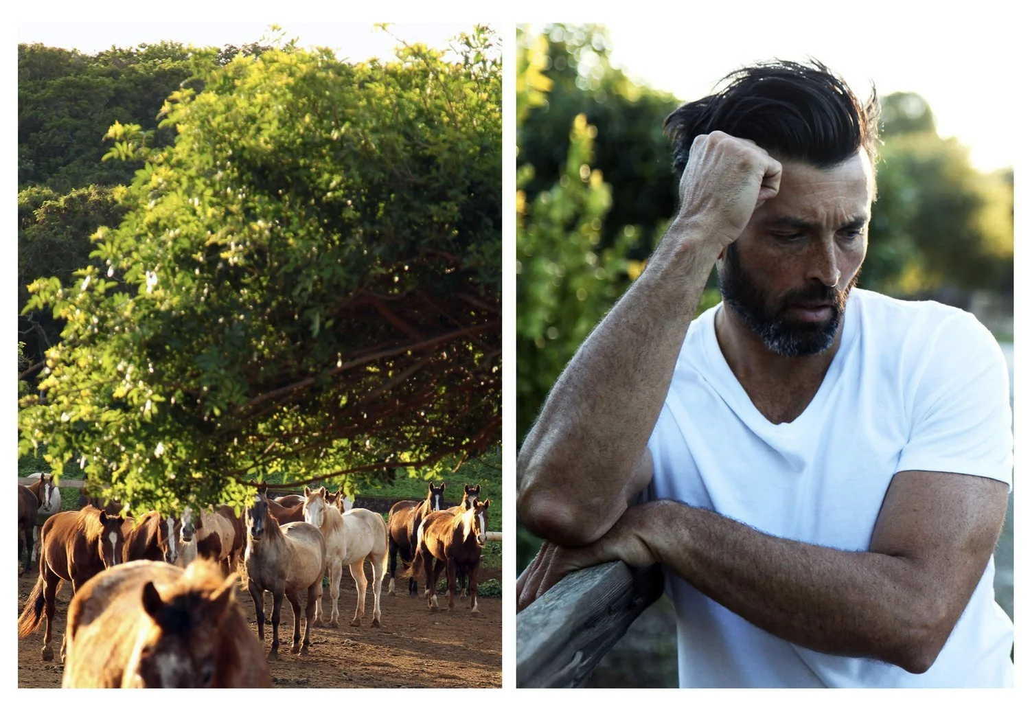 EDITORIAL — MATT ALBIANI