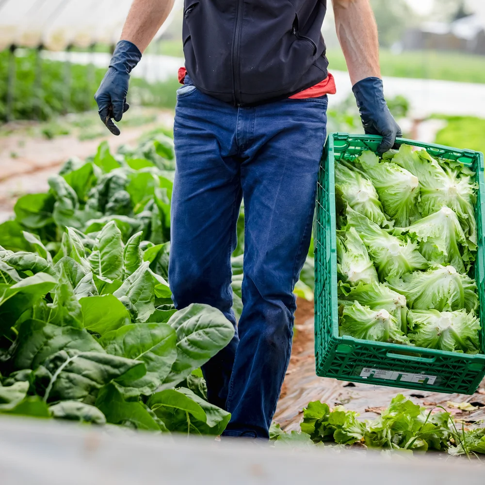 Transform Your Business: Save Money & the Planet with Platform Zero