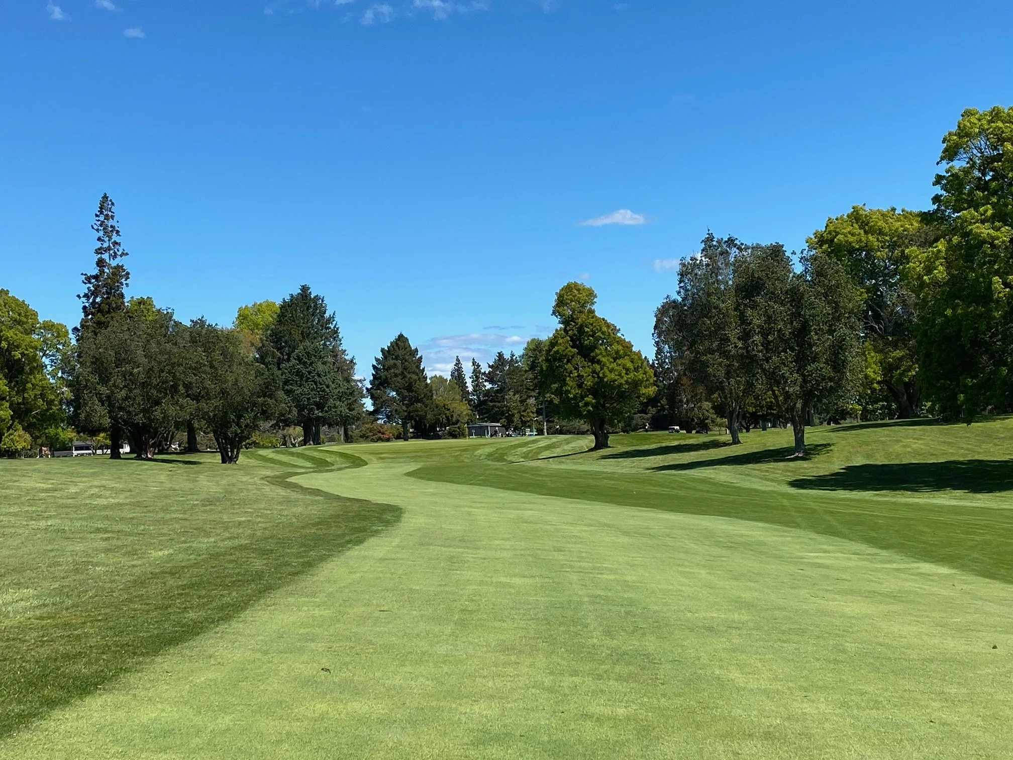 2024 Te Puke MidAm — MiGolf Systems