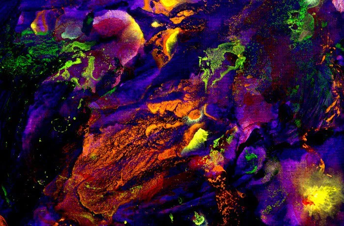 FLY Colors — Fly by Ted Barr