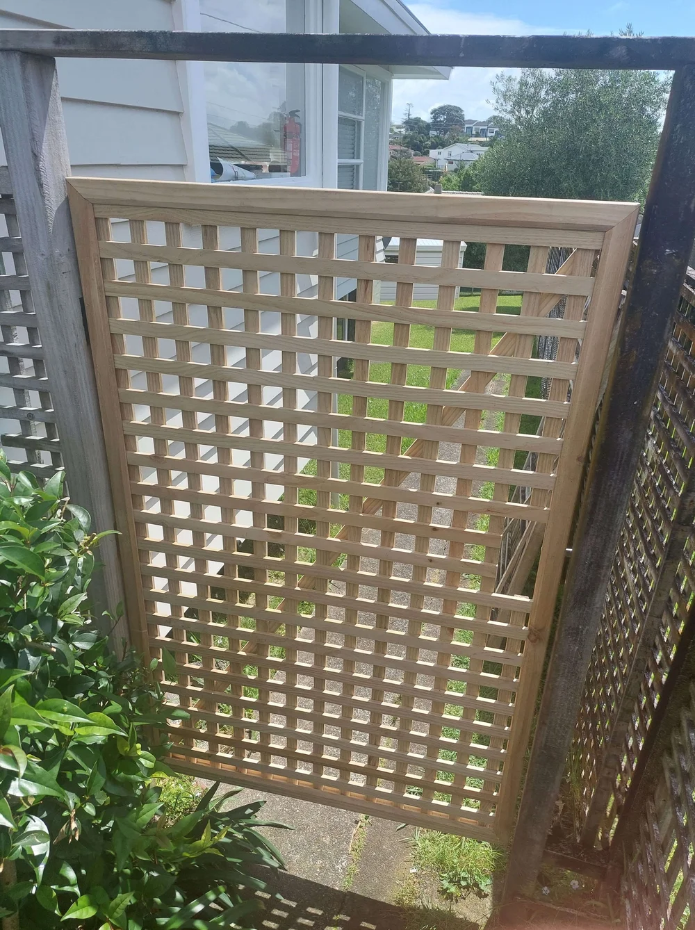 Trellis Gates — Auckland Trellis