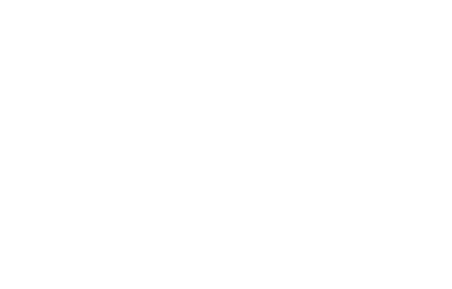 Who, What, Where? The Sunnies Flask Launch — Art+ Magazine