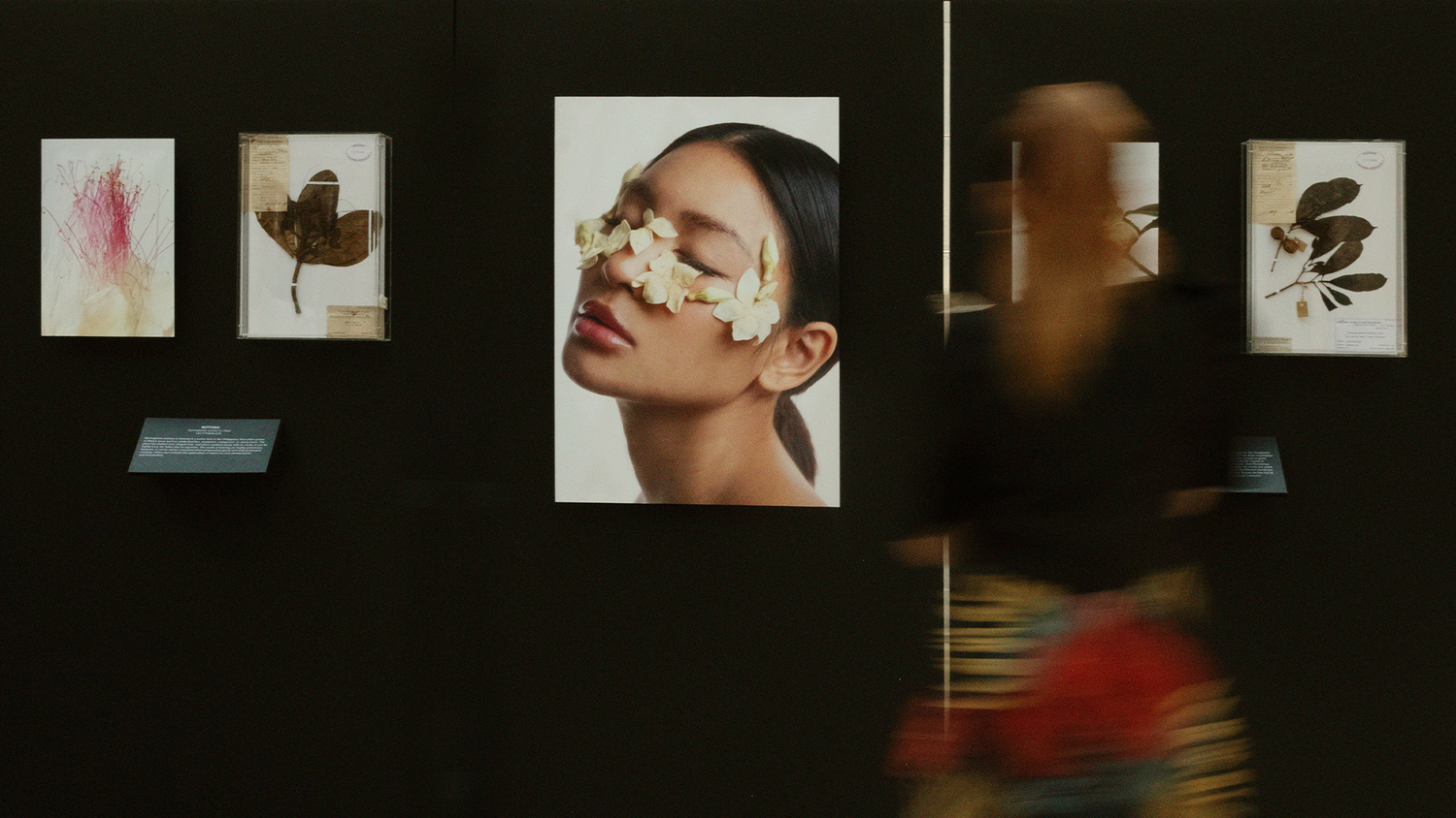 Filipino Stars Pose For Jan Mayo’s Faces & Flora — Art+ Magazine