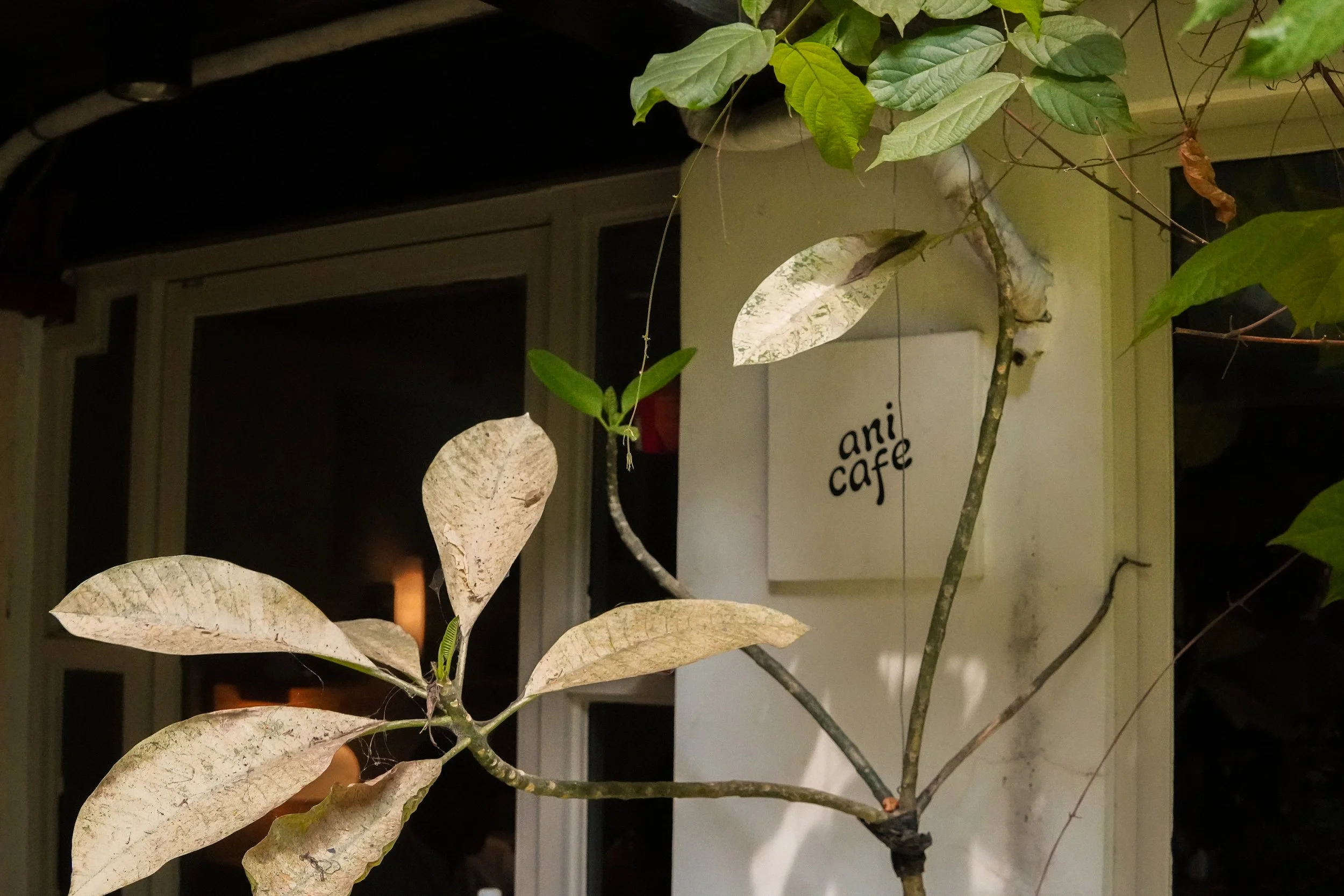 Comuna: An Artistic Nest for Creatives — Art+ Magazine