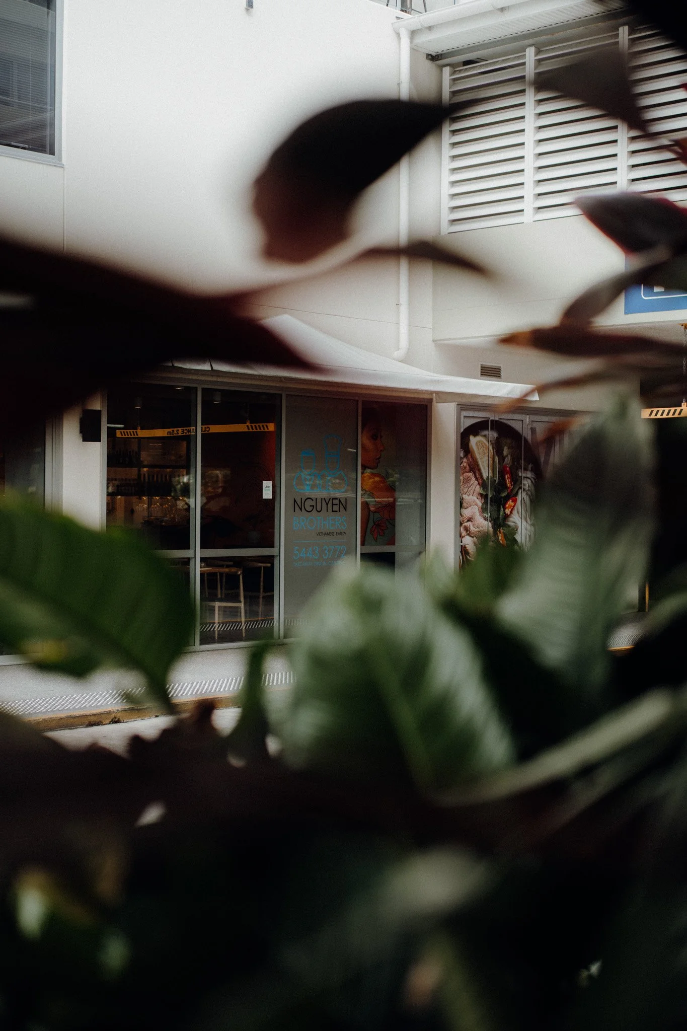 Contact | Get in Touch Today — Nguyen Brothers | Sunshine Coast