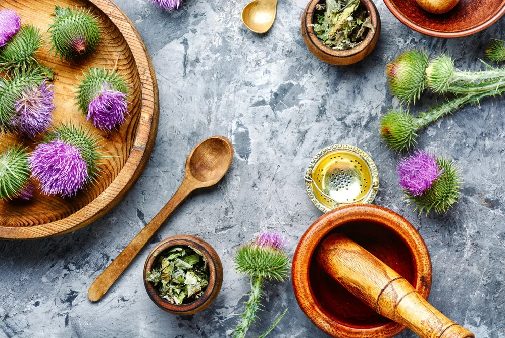 The 5 Best Milk Thistle Supplements — The Organic Professor