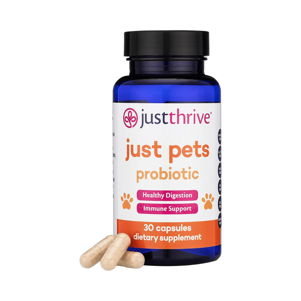 Best Probiotics To Keep Your Dog Healthy And Happy — The Organic Professor