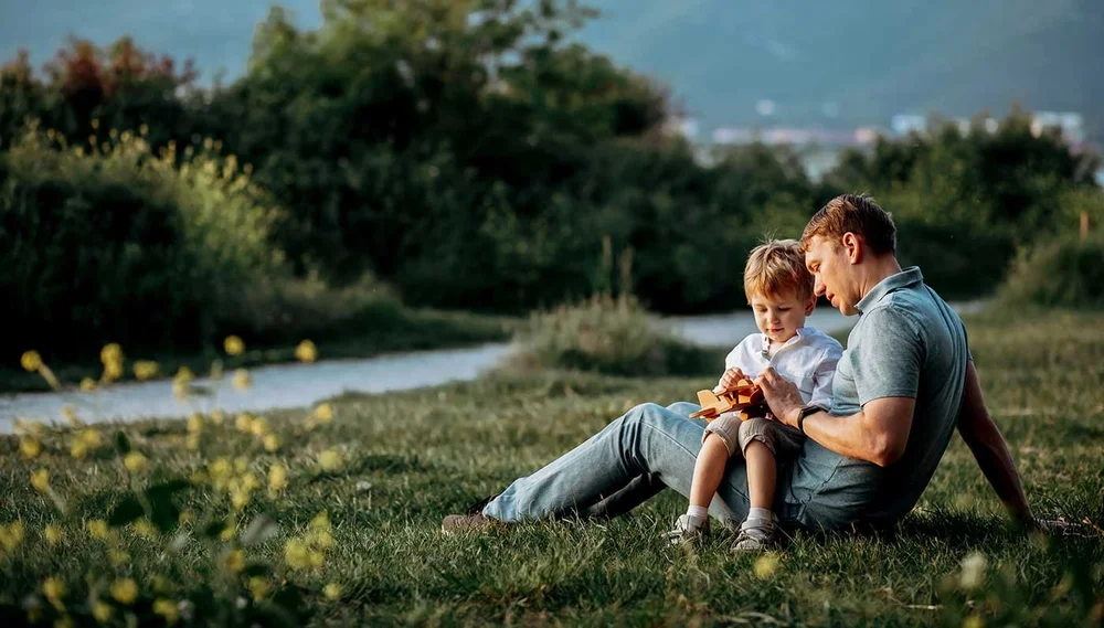 Maintenance and How To Apply — Shannons Solicitors - Expert Legal Services in Dublin