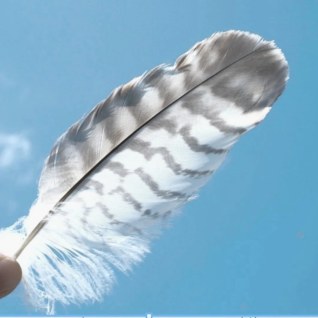 Nicole Intuitive Medium