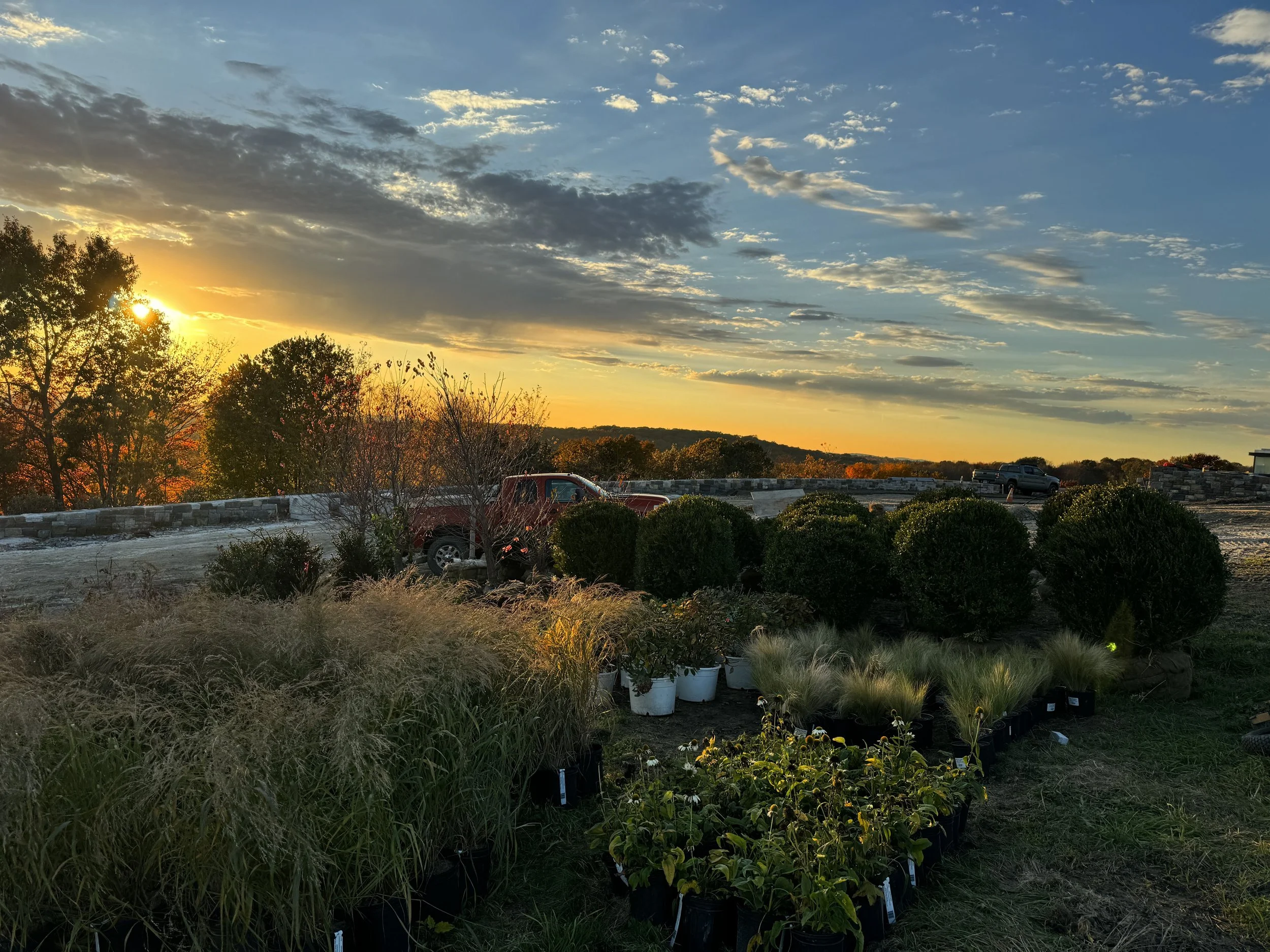 In Progress — Brook Clark Landscape Architects