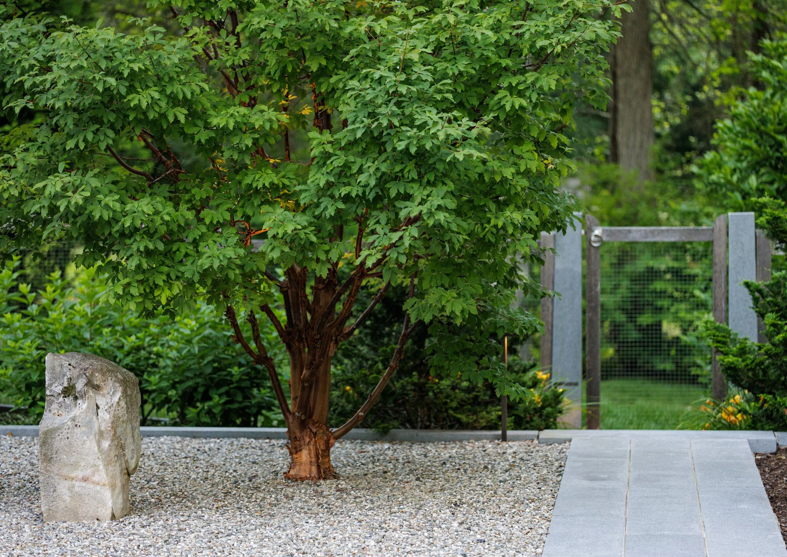 Zen Garden — Brook Clark Landscape Architects