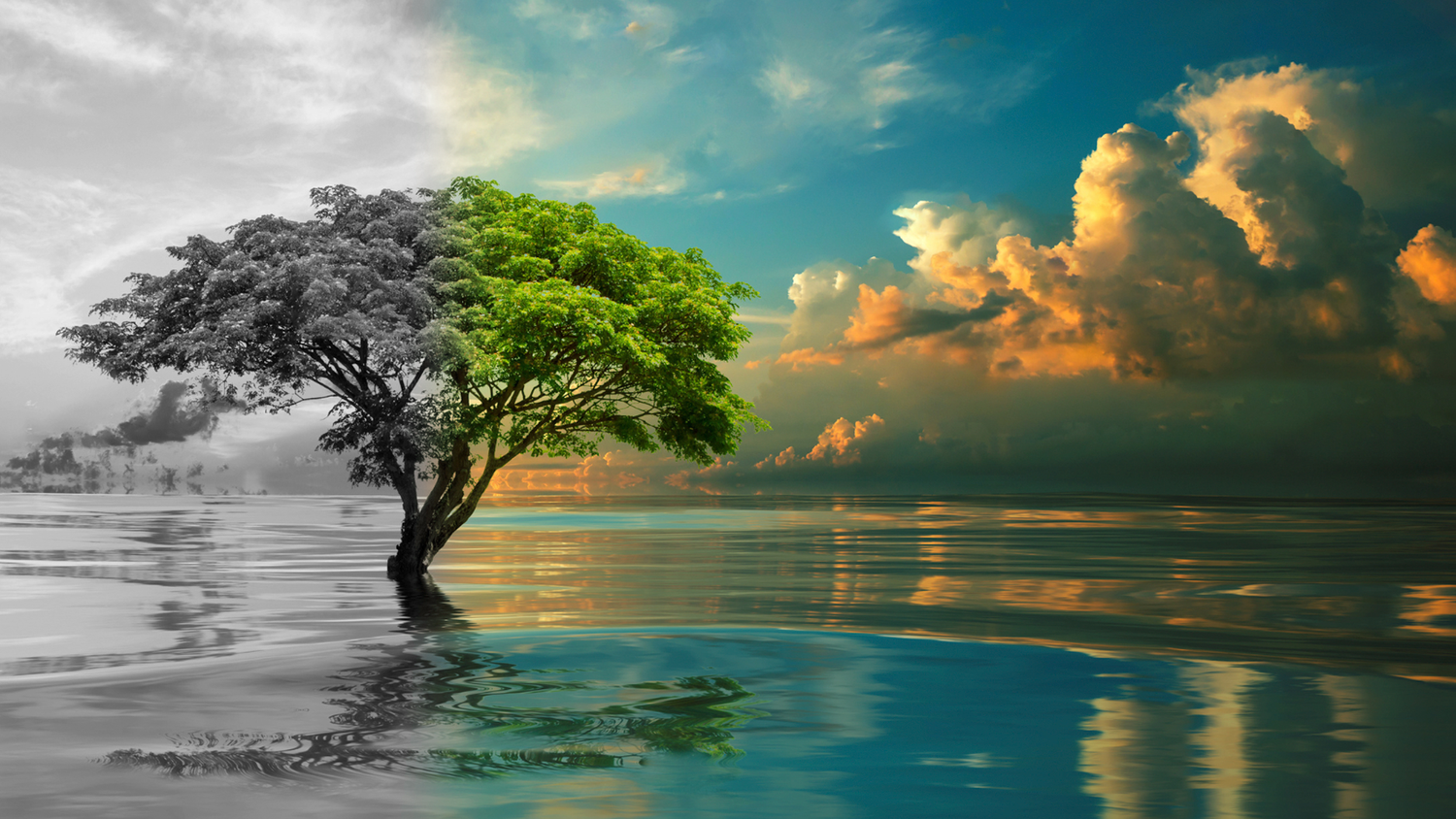 Restore — Heritage of Faith Christian Center