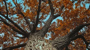 Encouragement for When You Can't See Progress — Sarah J. Hauser