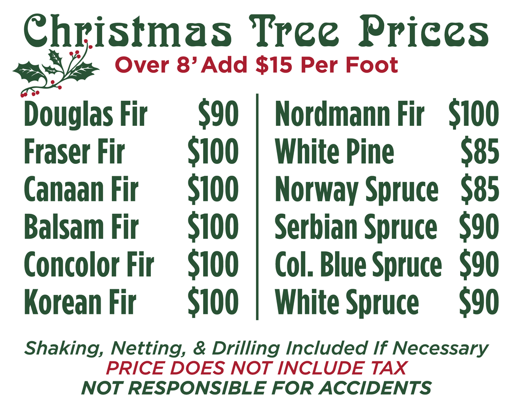 Christmas Tree Prices — Davidson Christmas Tree Farm