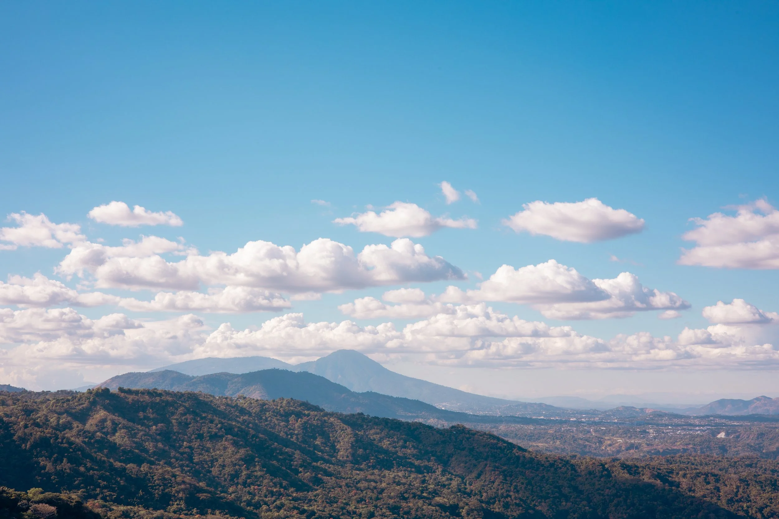 Capturing Life's Moments | Frazier Photography