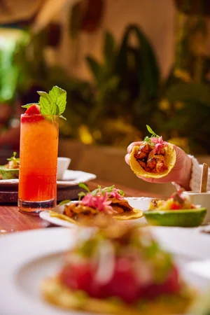 View Our Menus | tán