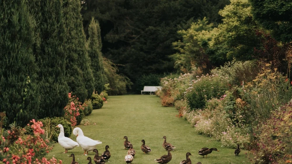 Elsham Hall