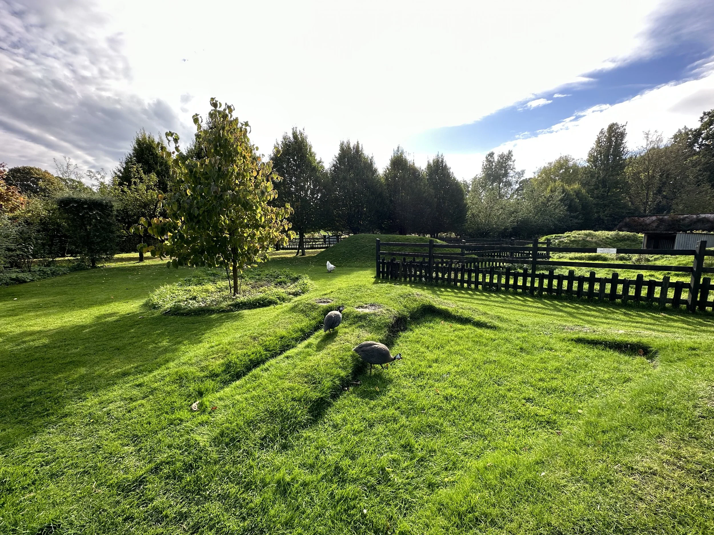 Eating | Discover and Dine Today — Elsham Hall