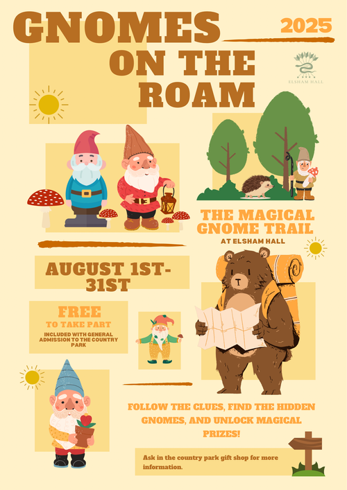 What's on | Discover Events & Experience Now — Elsham Hall