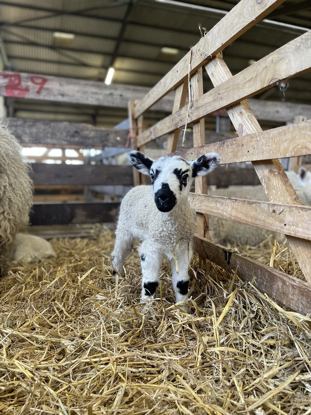 Events — Elsham Hall