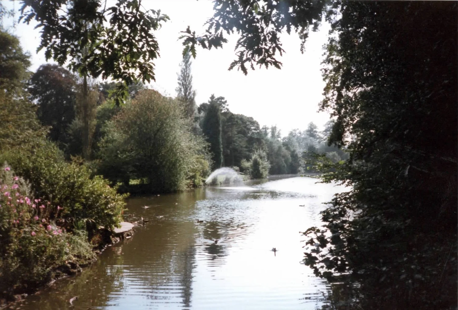 History | Explore Elsham Hall Today — Elsham Hall