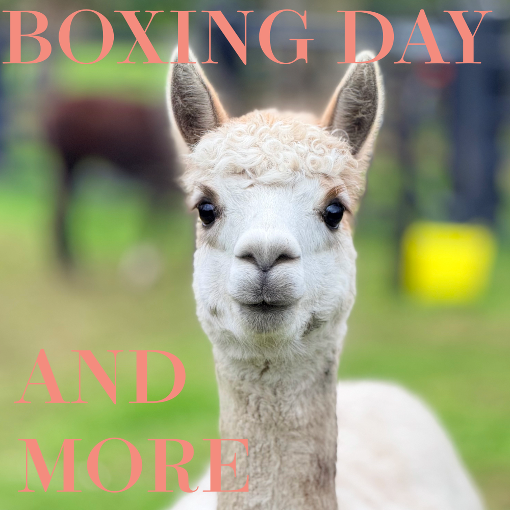 What's on — Elsham Hall