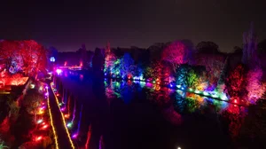 What's on | Discover Events & Experience Now — Elsham Hall