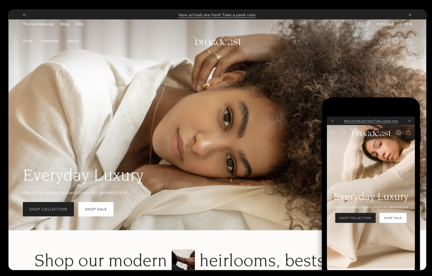 Broadcast Shopify Theme: Designer Insights and Review â€” — WildHive