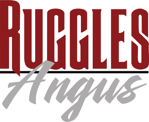 Ruggles Angus