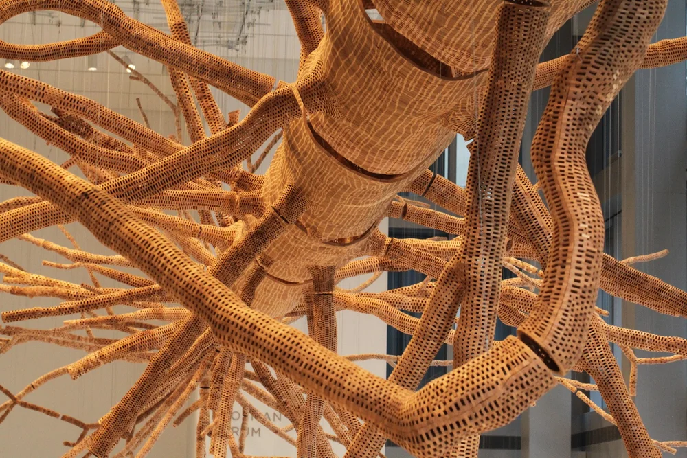 MIDDLE FORK / SAM, Seattle, WA. — John Grade Studio