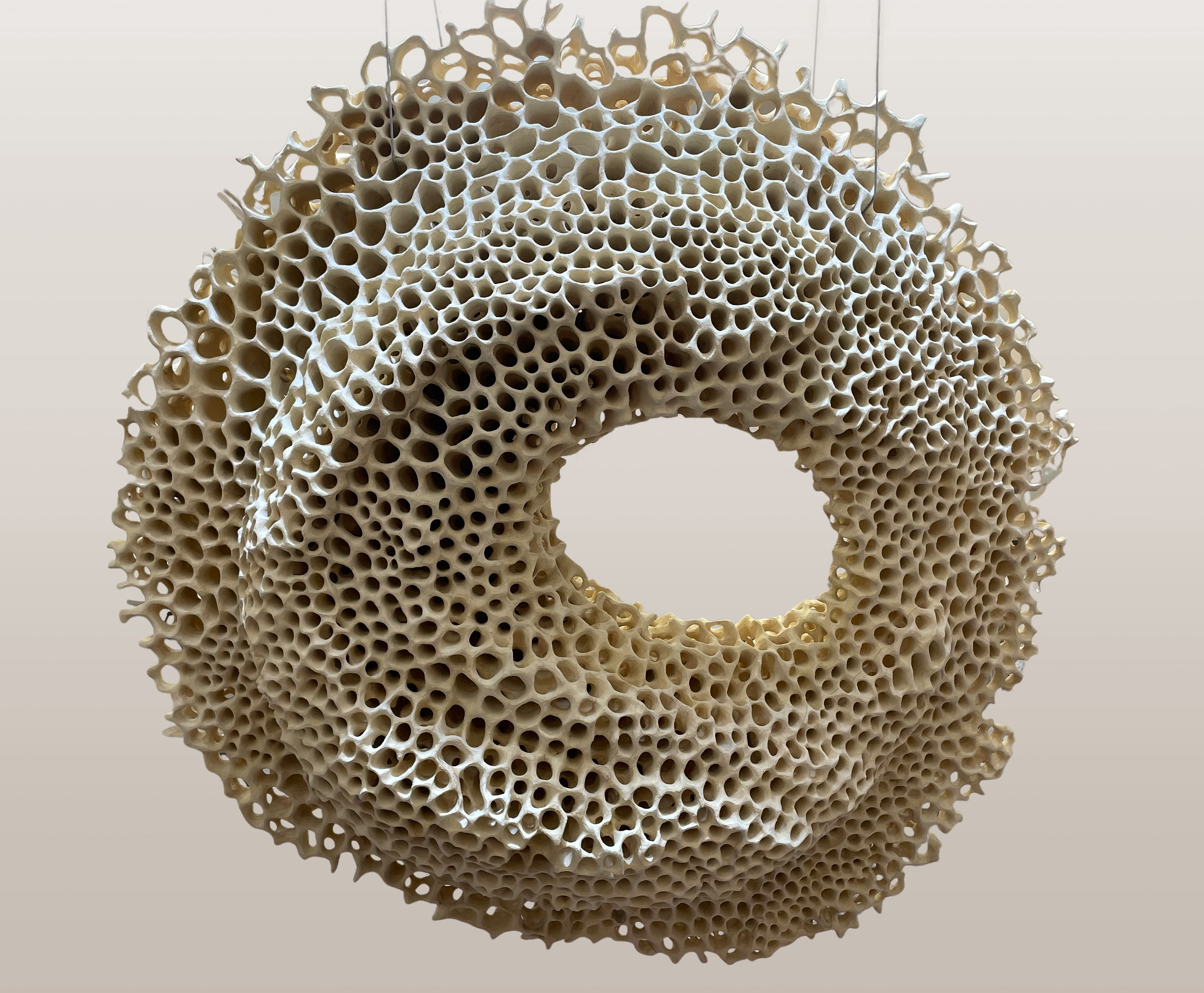 Projects — John Grade Studio
