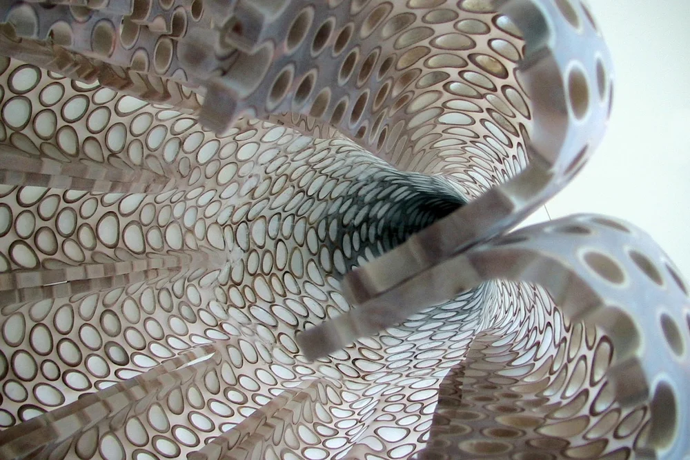 CAUDEX / Boise Art Museum, ID. — John Grade Studio
