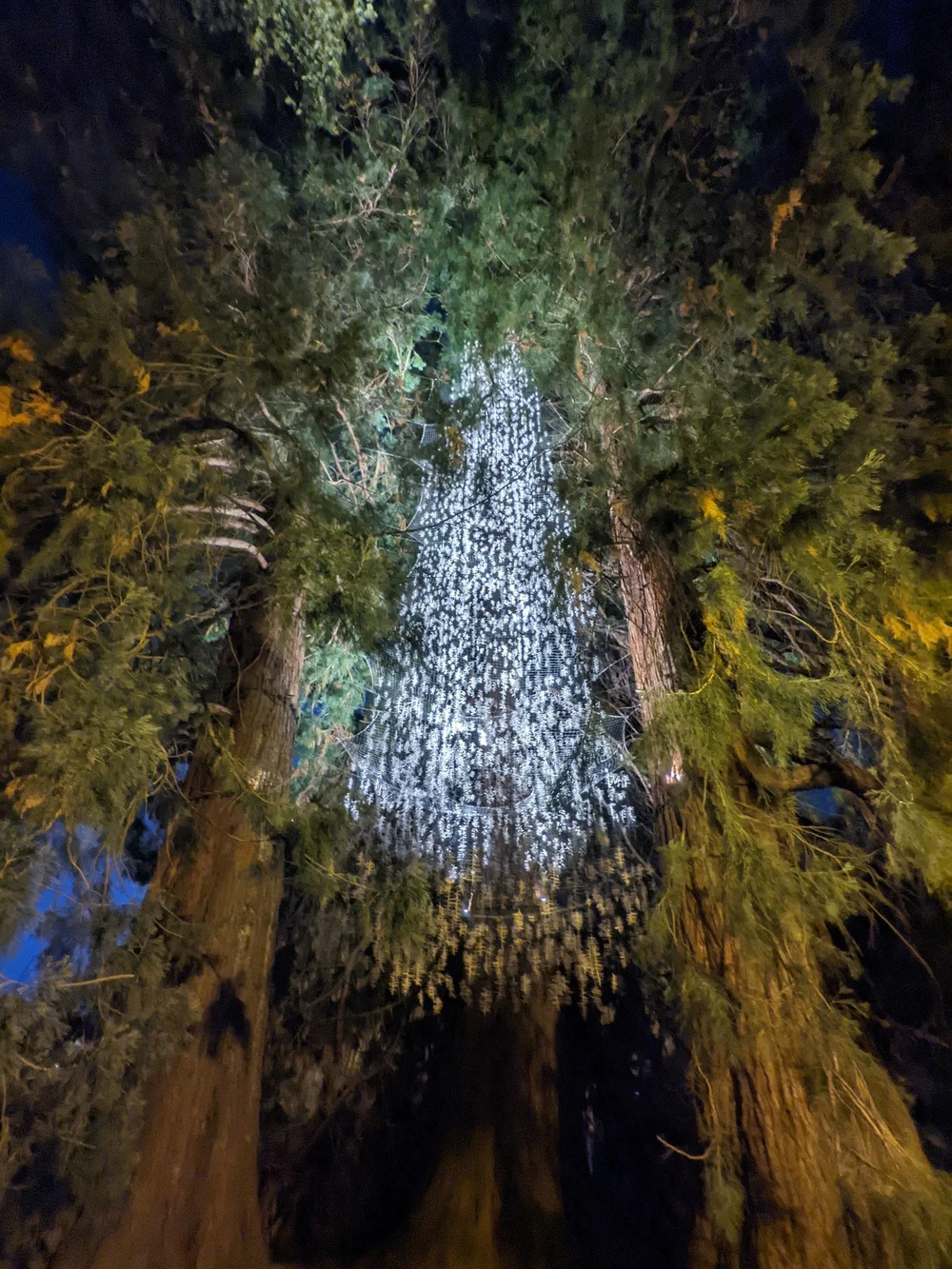 Projects — John Grade Studio