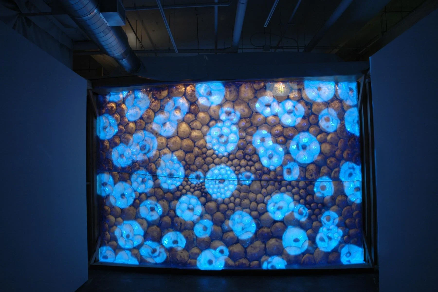 CLEAVE / Bellevue Arts Museum and Davidson Galleries, Seattle, WA. — John Grade Studio