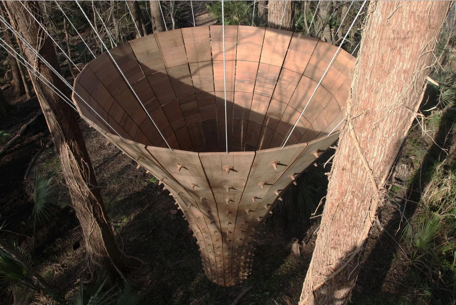 CANOPY TOWER / ACM, Austin, TX. — John Grade Studio