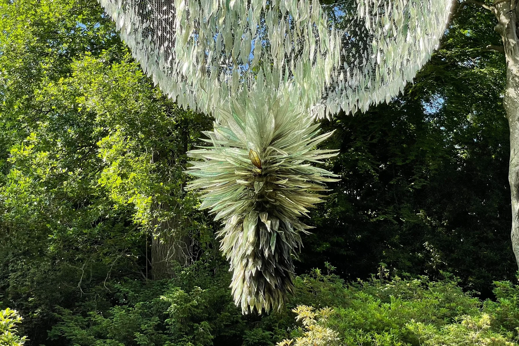 ISLA / Kew Gardens, Wakehurst, UK. — John Grade Studio