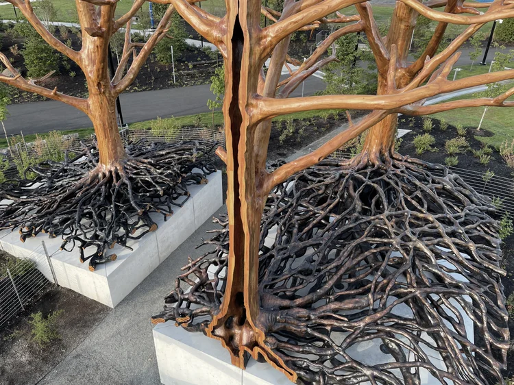 Understory / Microsoft, Redmond, WA — John Grade Studio