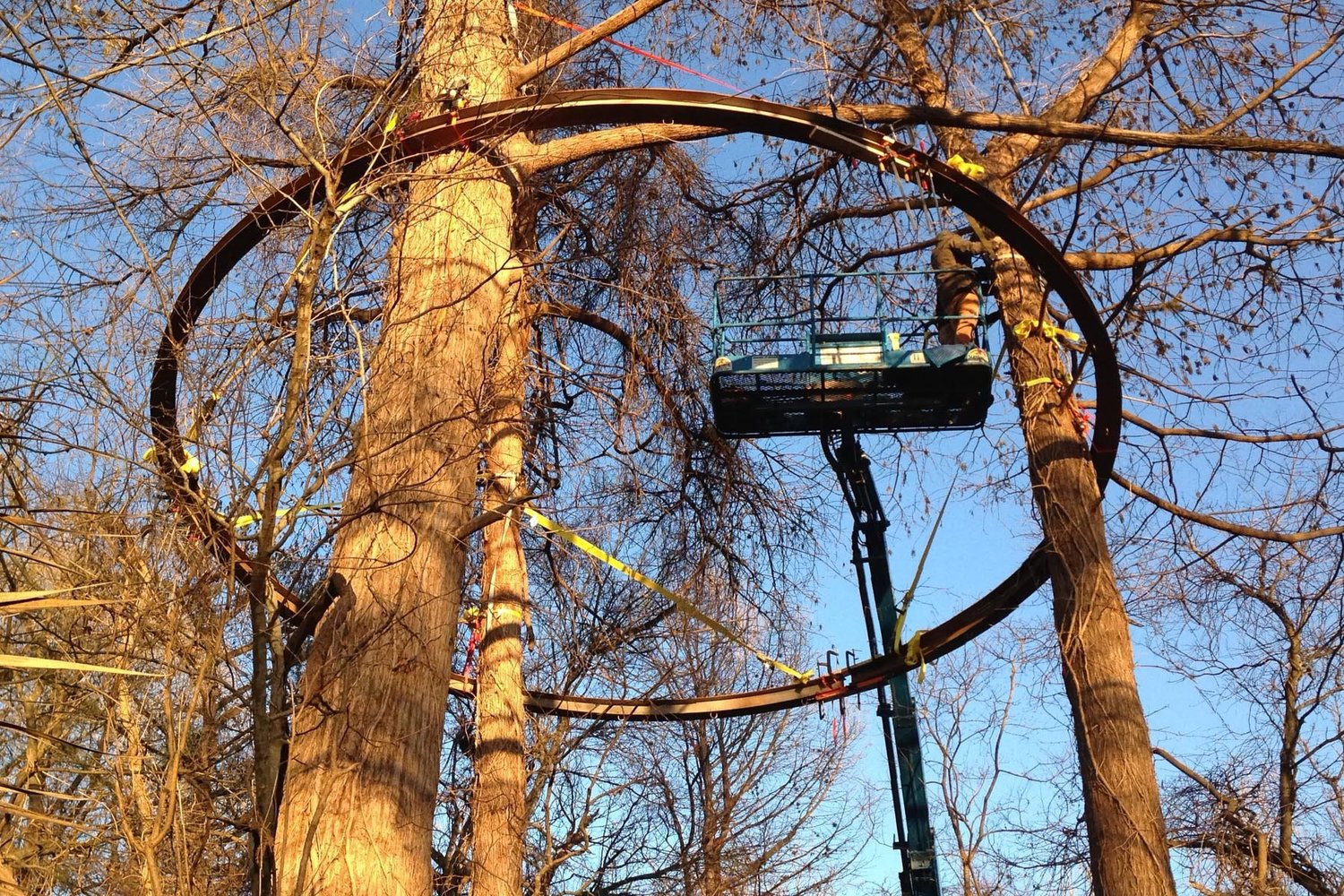 CANOPY TOWER / ACM, Austin, TX. — John Grade Studio