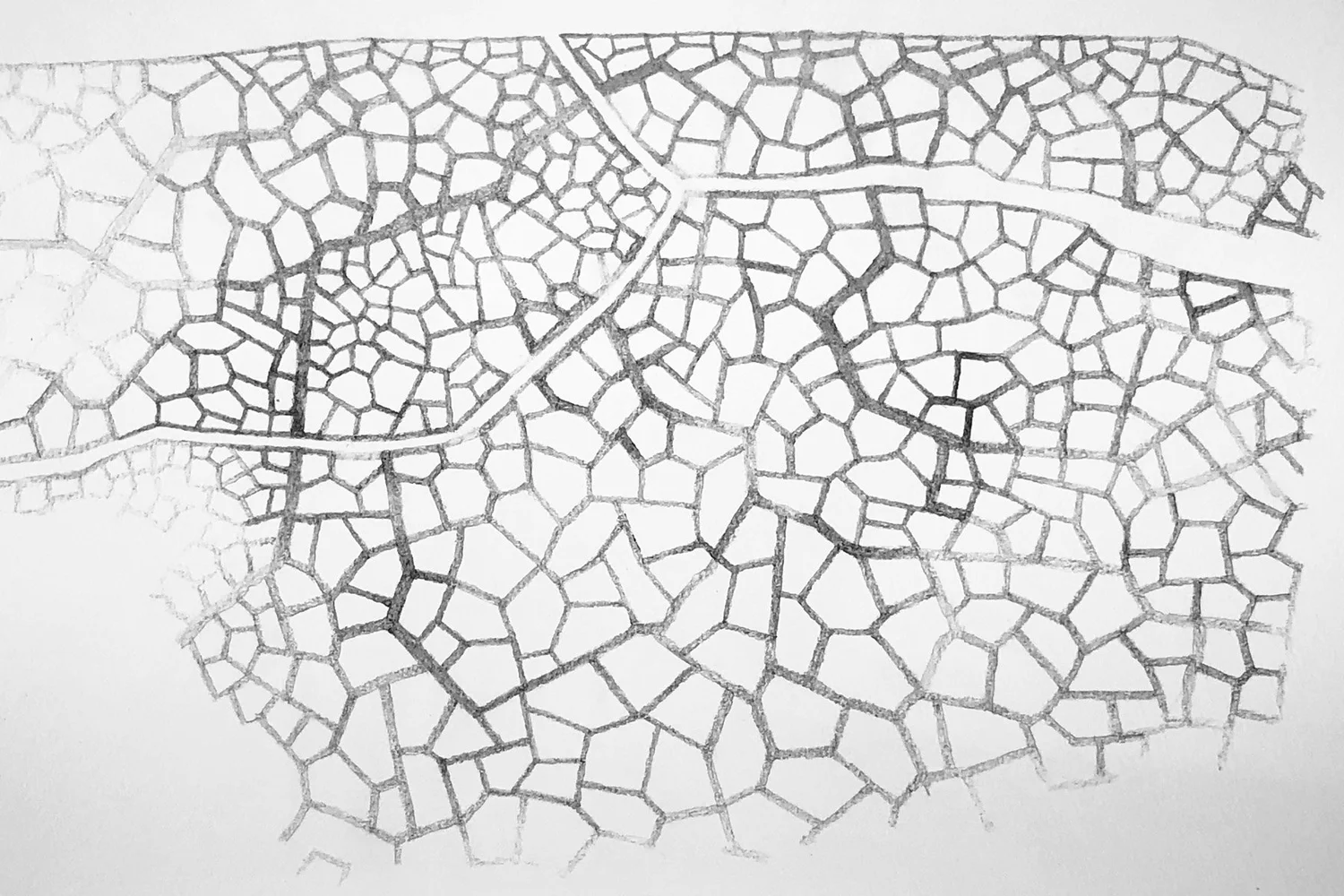 ORPHAN / Oregon State Treasury, Salem, OR — John Grade Studio