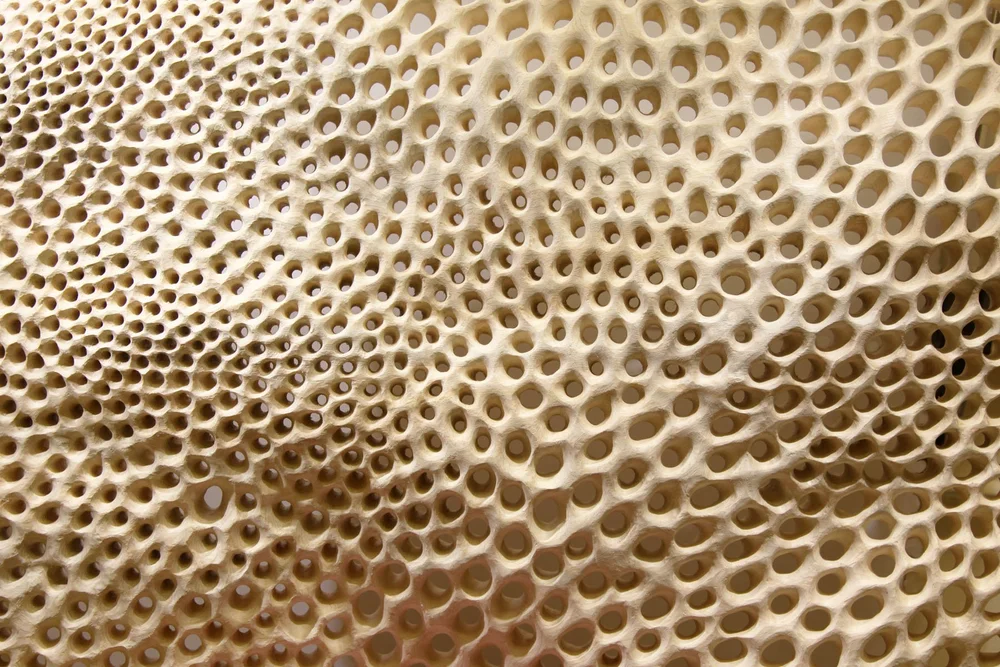 MURMUR STUDIES / Anchorage, AK. and Seattle, WA. — John Grade Studio