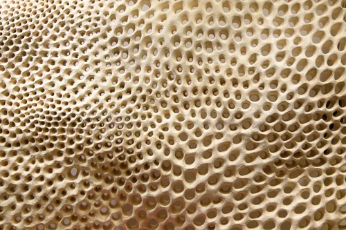 MURMUR STUDIES / Anchorage, AK. and Seattle, WA. — John Grade Studio