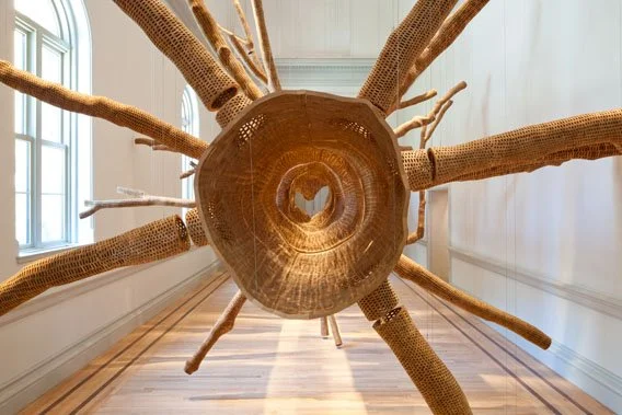 MIDDLE FORK / SAM, Seattle, WA. — John Grade Studio