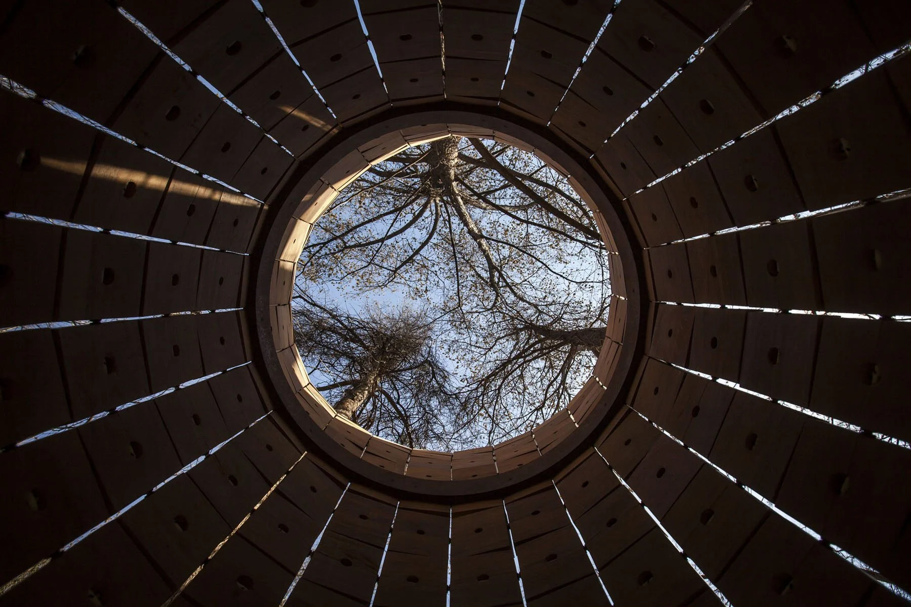 CANOPY TOWER / ACM, Austin, TX. — John Grade Studio