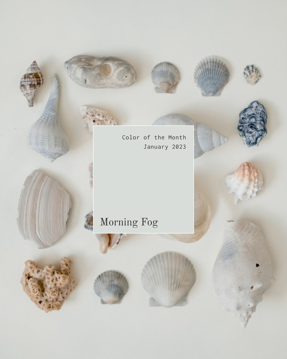 The Color of January / 2023 — Anna Núñez Fine Art