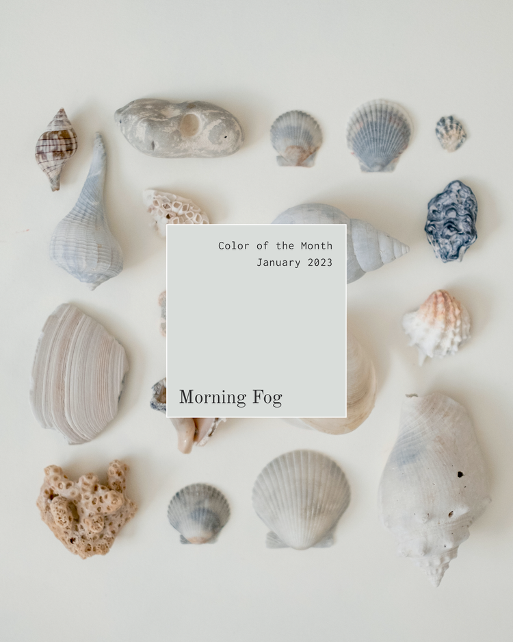 The Color of January / 2023 — Anna Núñez Fine Art