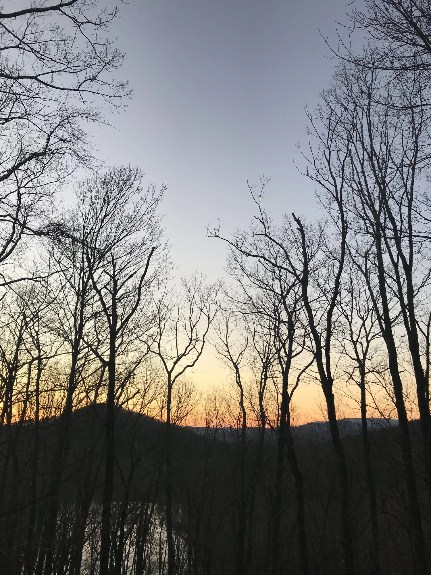 The Color of March / 2023 — Anna Núñez Fine Art