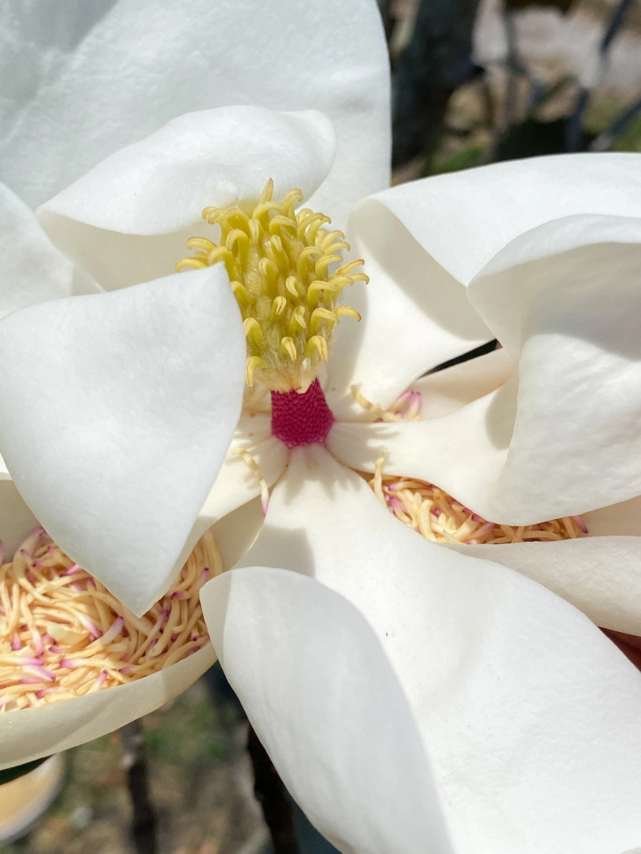 The Color of May / 2023 — Anna Núñez Fine Art